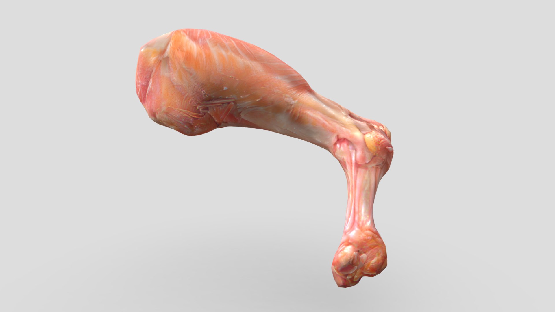 Raw Chicken Leg 3D Model - TurboSquid 2217162