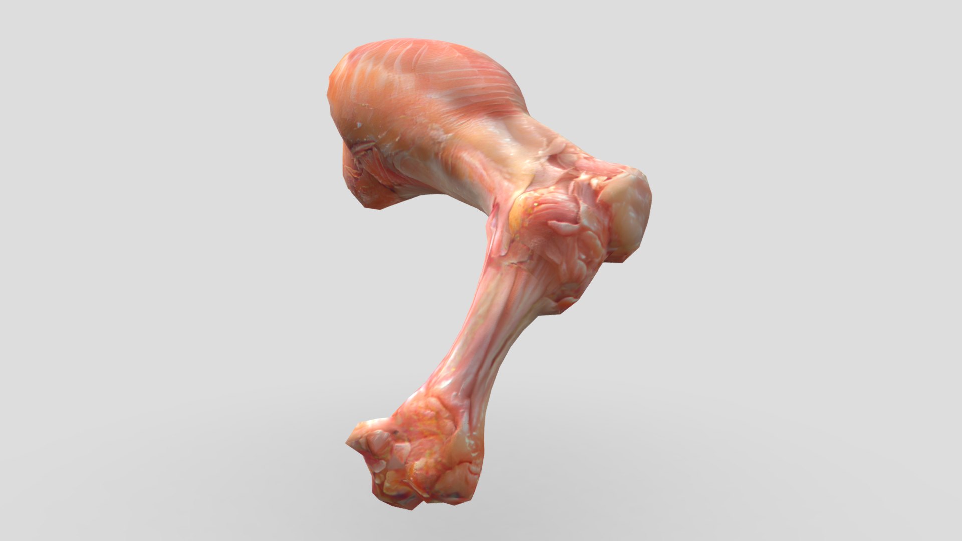 Raw Chicken Leg 3D Model - TurboSquid 2217162