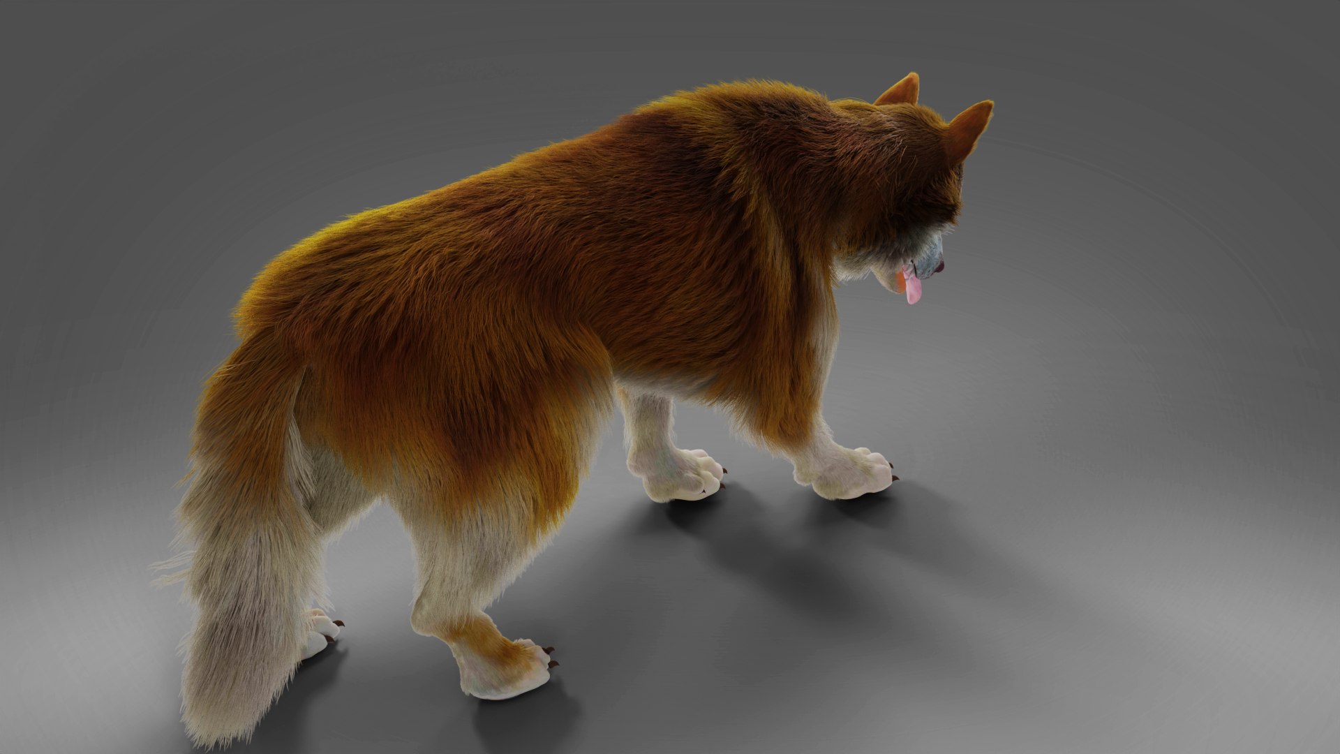 Fur Red Wolf NO Rigged In Blender 3D - TurboSquid 1987851