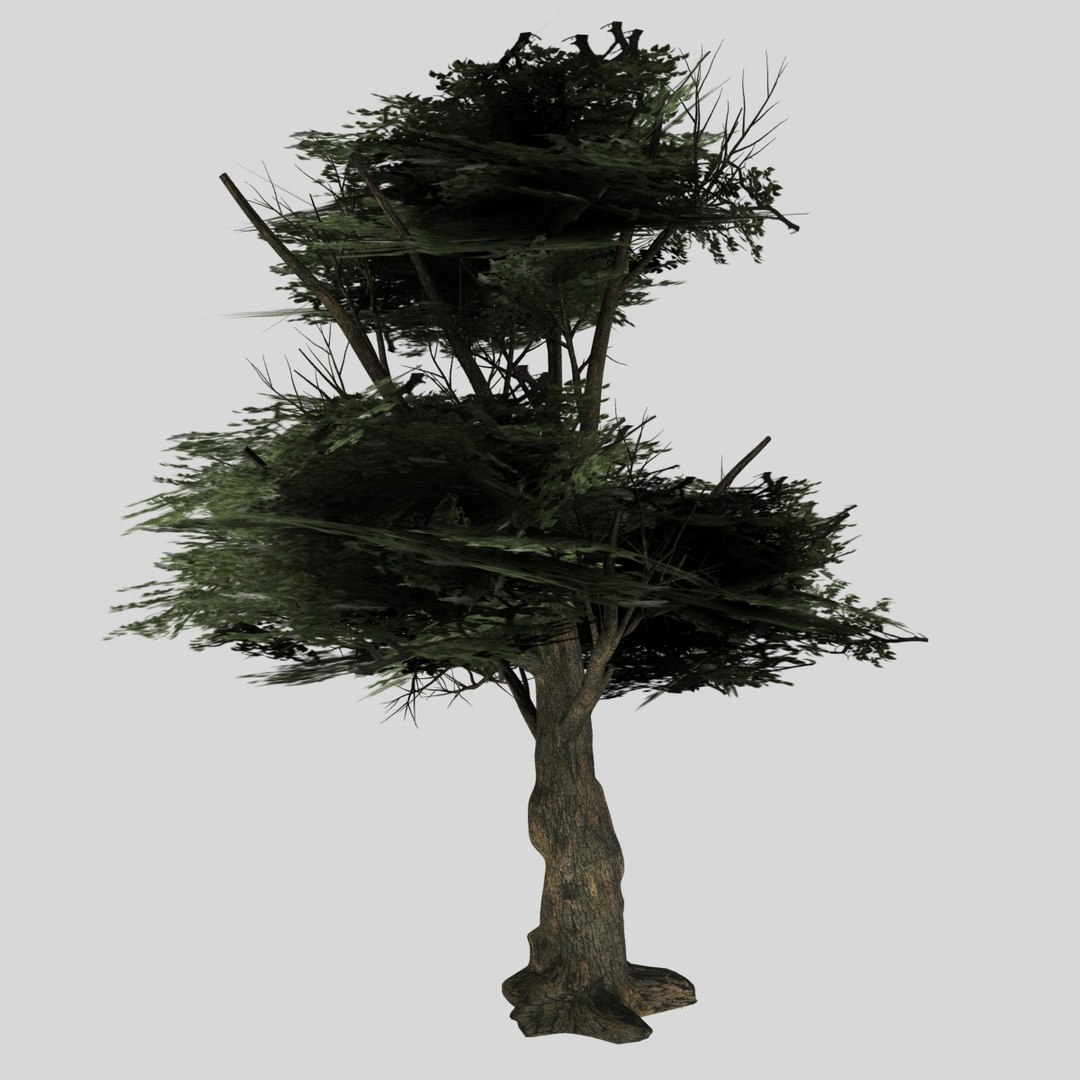 Tree Stl 3D Model - TurboSquid 1342988