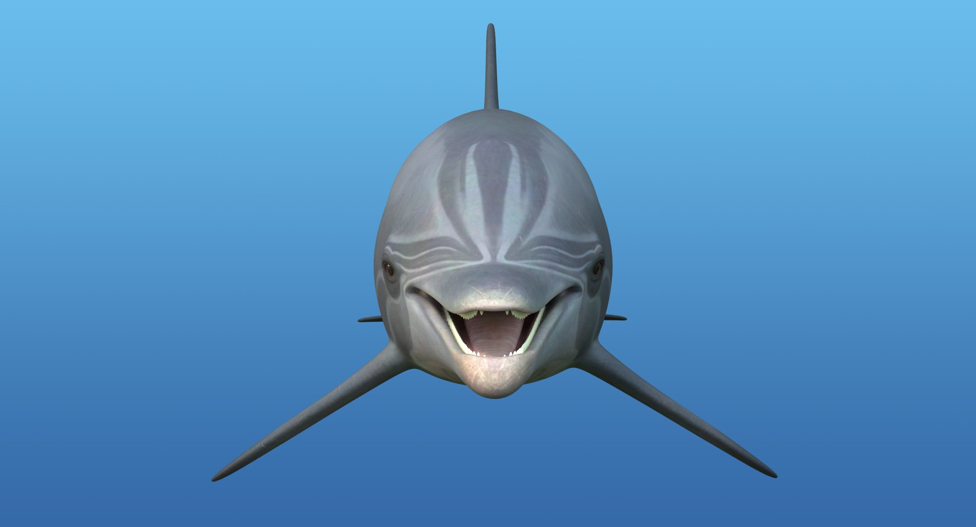 3d Bottlenose Dolphin Rigged