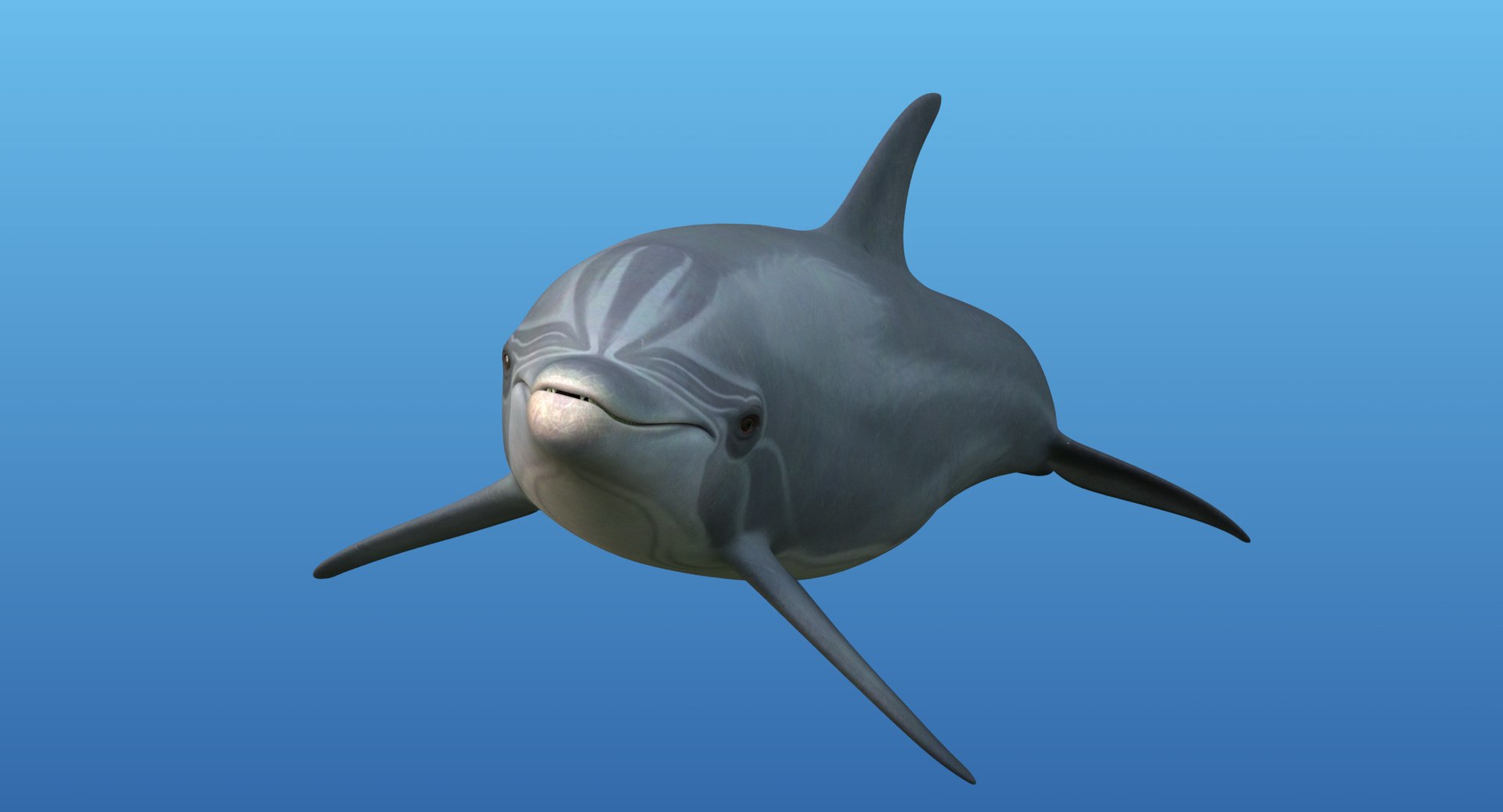 3d Bottlenose Dolphin Rigged