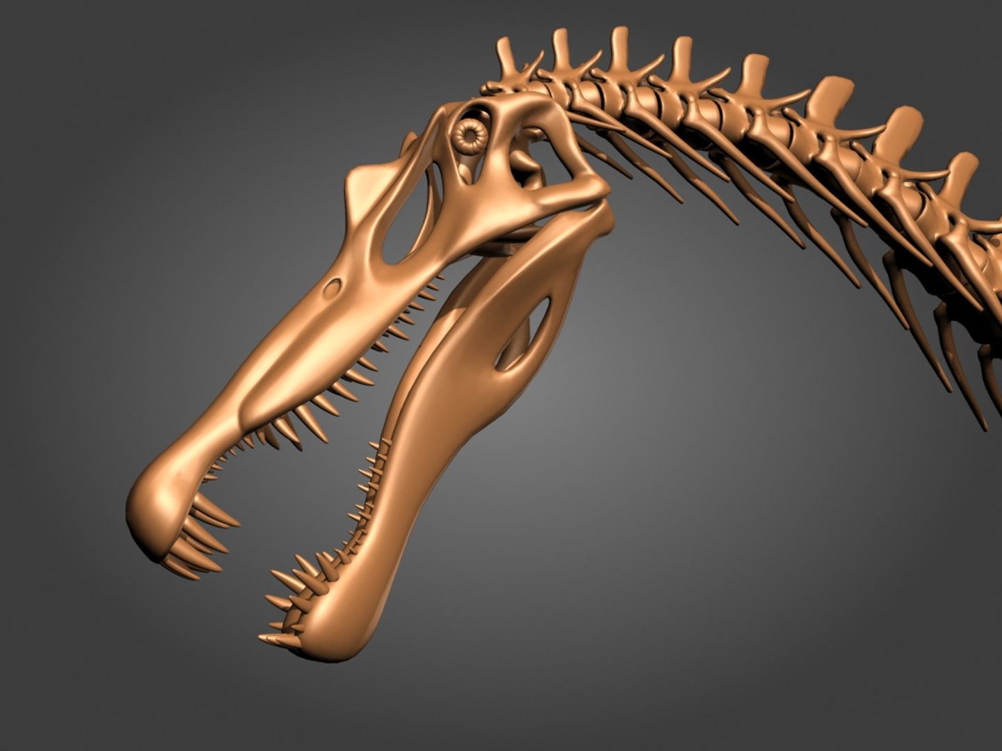 3d new spinosaurus skeleton model