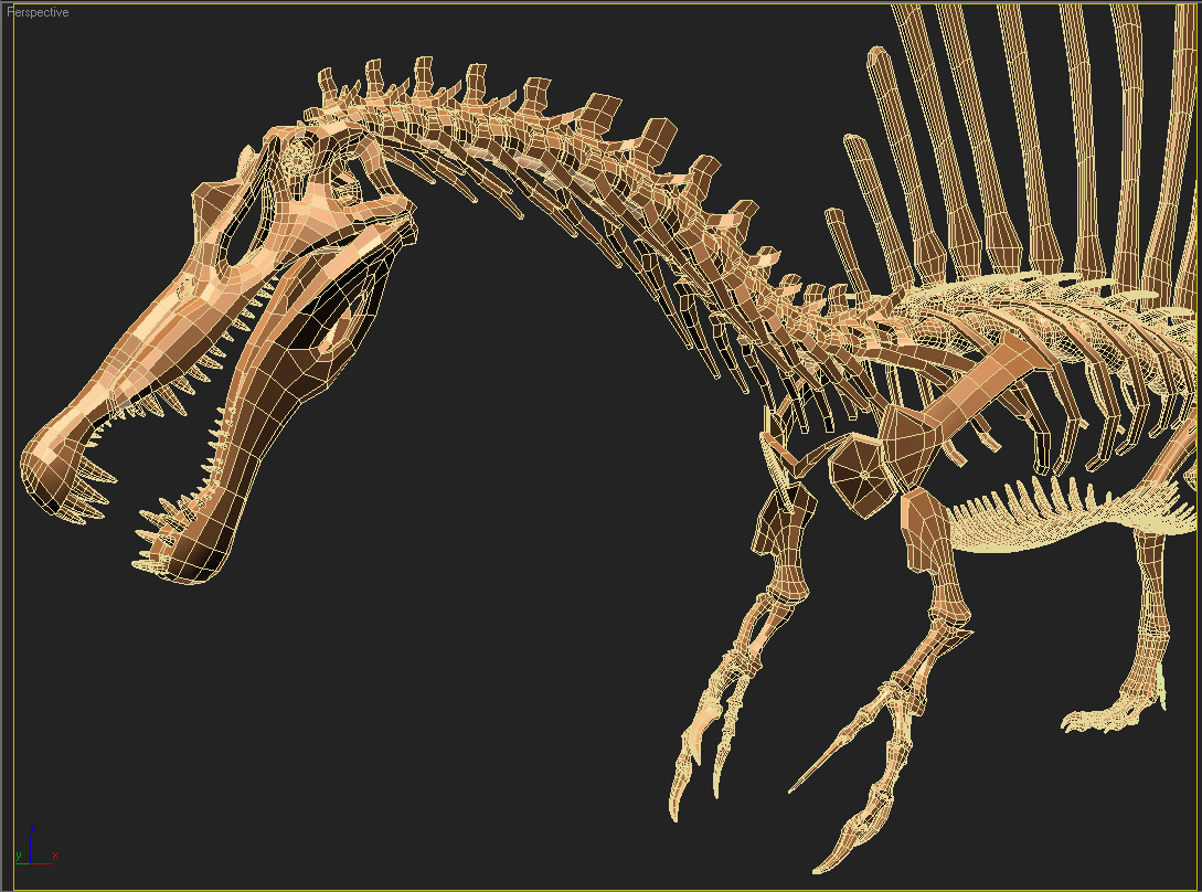 3d new spinosaurus skeleton model