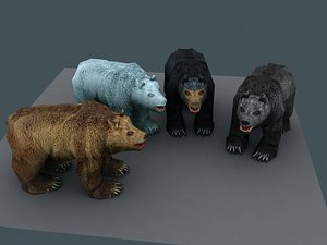 Free 3D Bear Models - Available For Download On TurboSquid