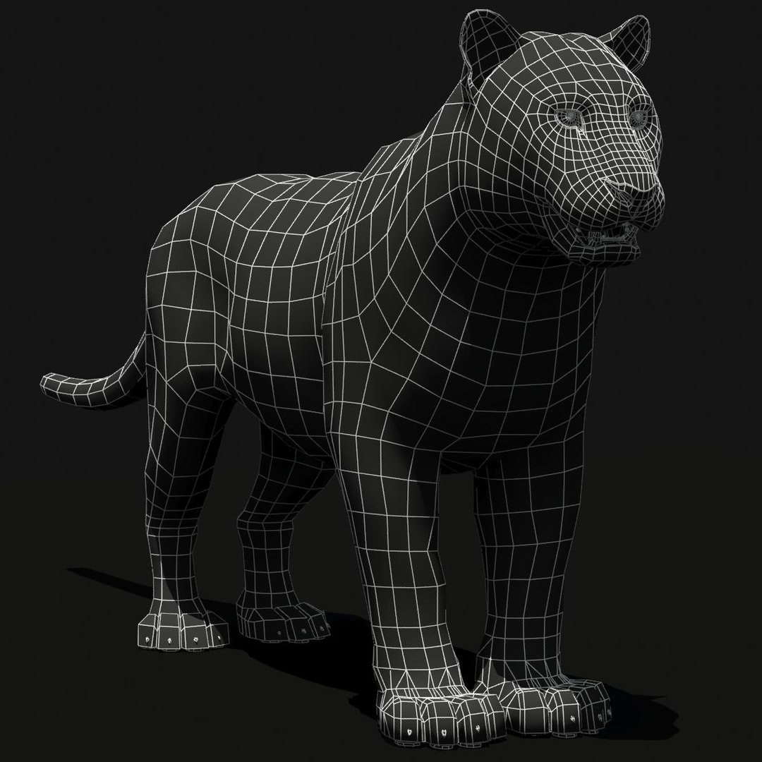 Max Tiger Amur White Animation