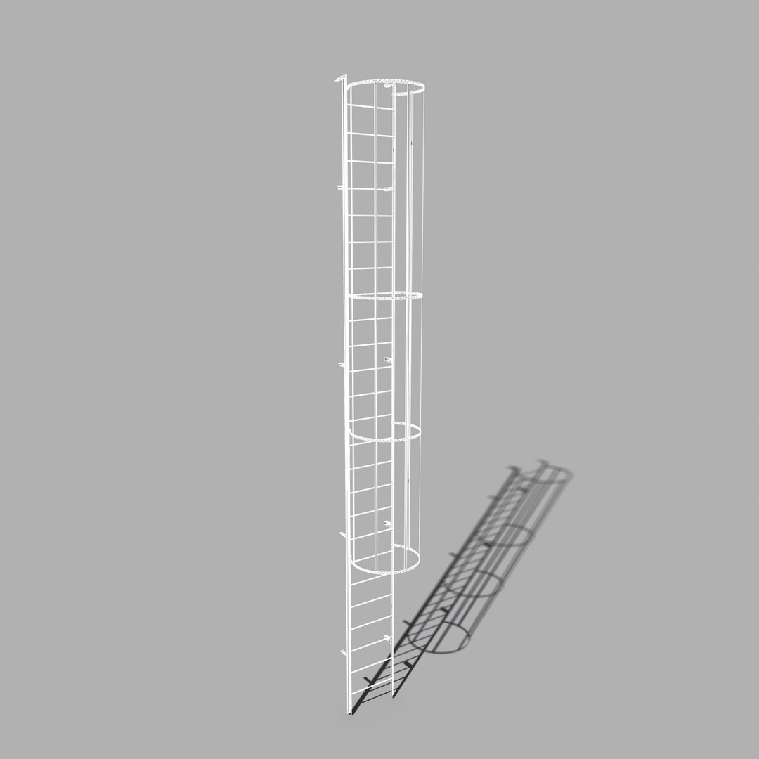 Access Ladder 3d Max