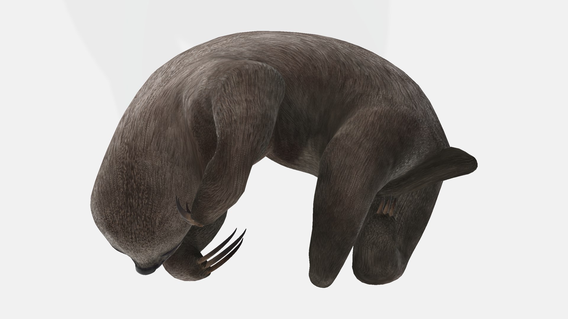Sloth 3D Model - TurboSquid 2303143