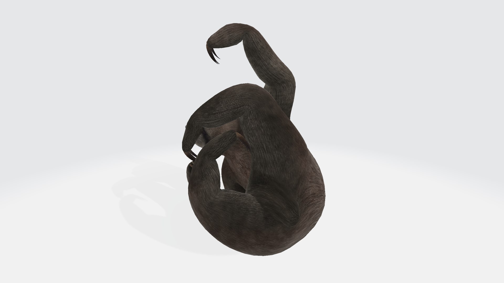 Sloth 3D Model - TurboSquid 2303143
