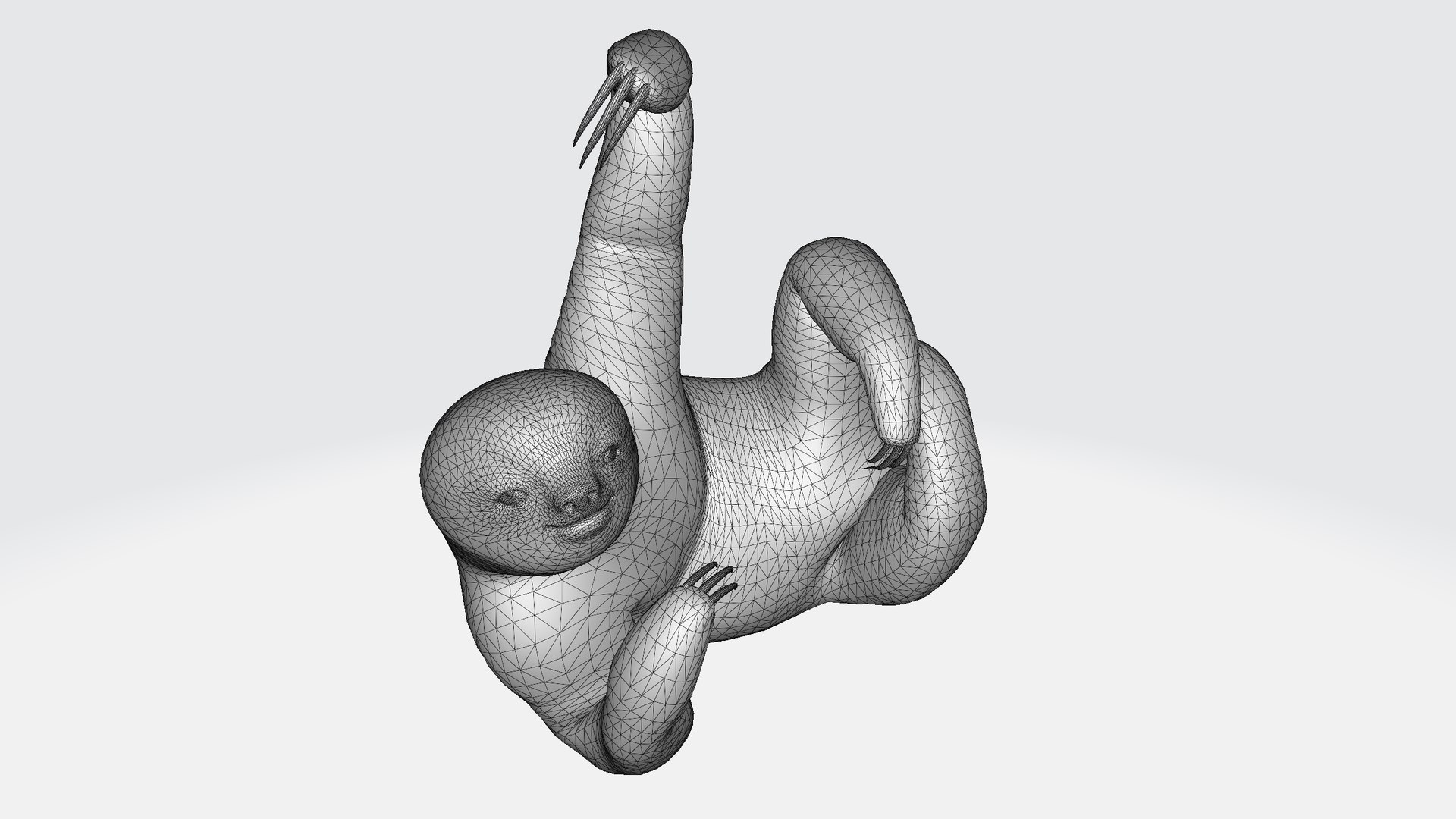 Sloth 3D Model - TurboSquid 2303143