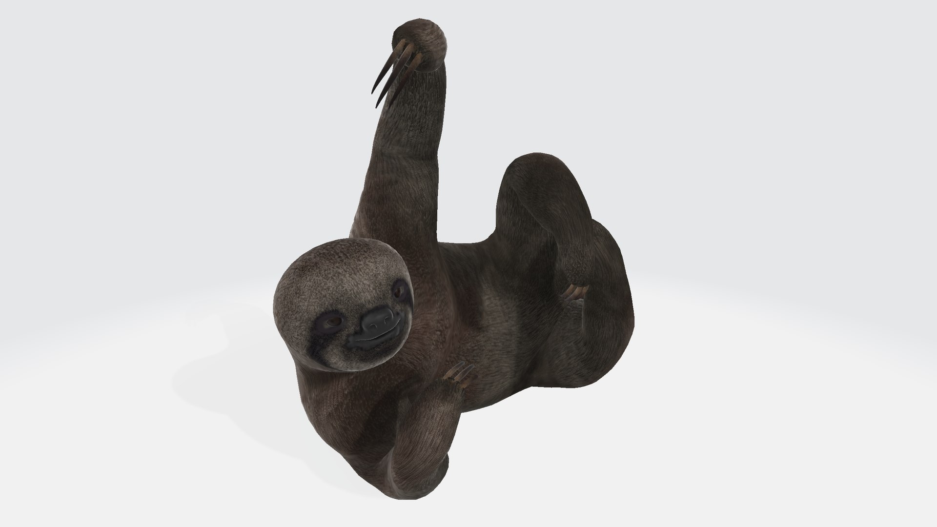 Sloth 3D Model - TurboSquid 2303143