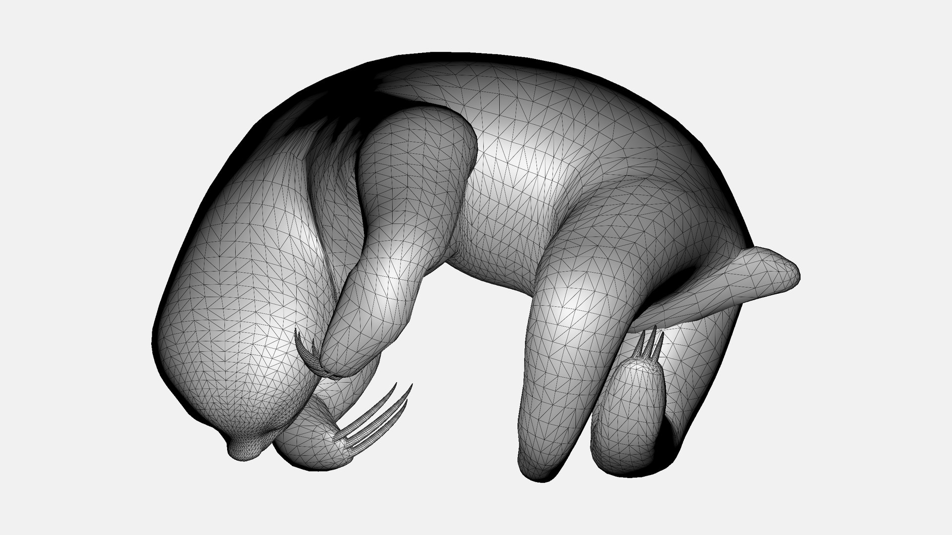 Sloth 3D Model - TurboSquid 2303143