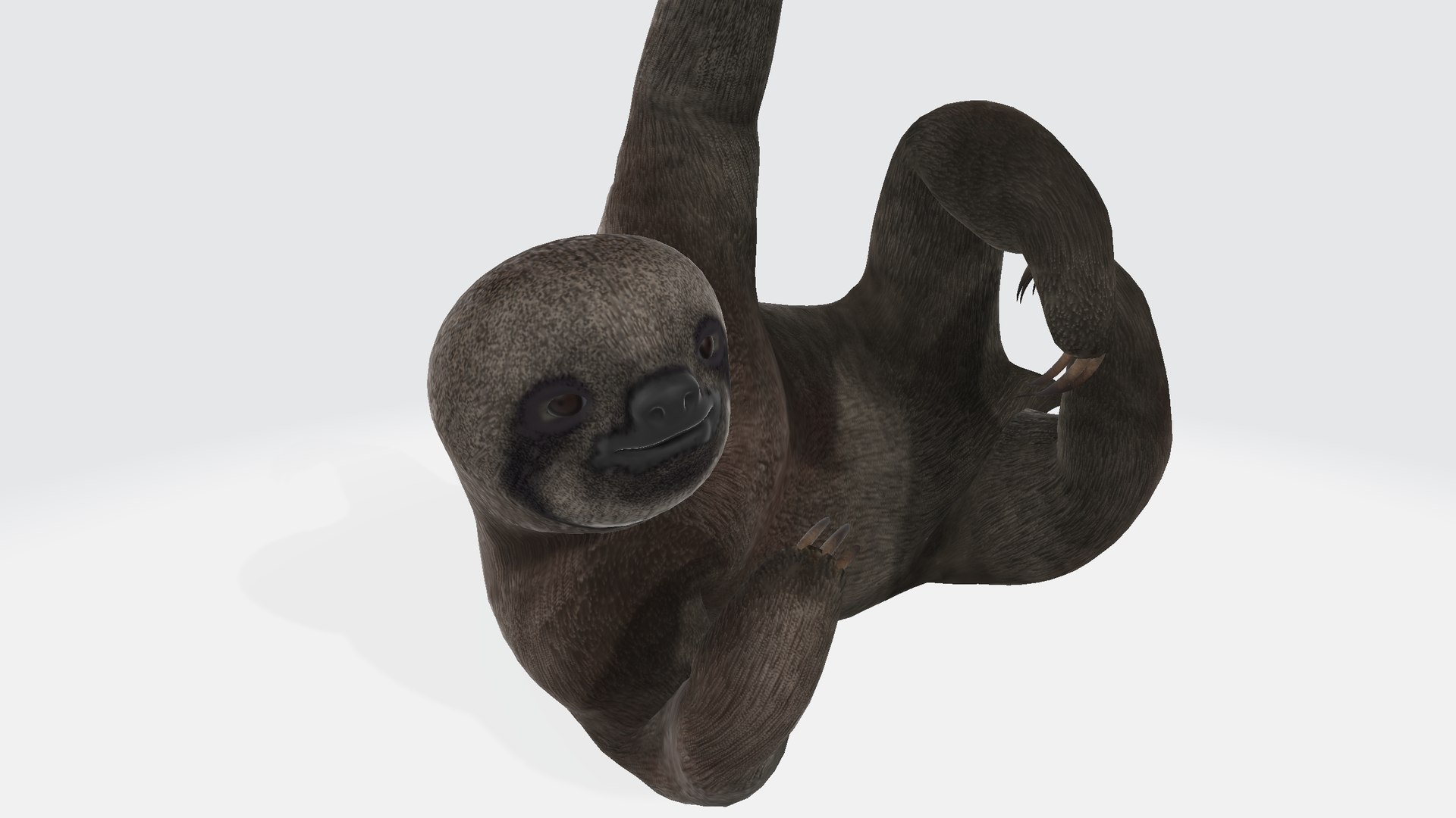 Sloth 3D Model - TurboSquid 2303143