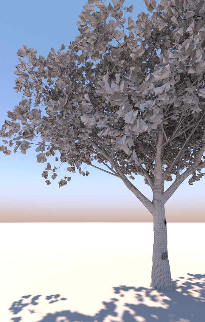 3D Cherry Tree Flowering Prunus Avium D Model - TurboSquid 1779573