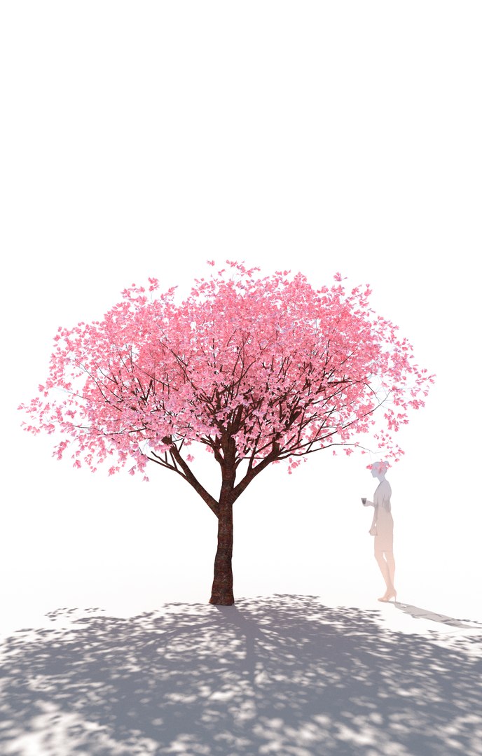 3D Cherry Tree Flowering Prunus Avium D Model - TurboSquid 1779573