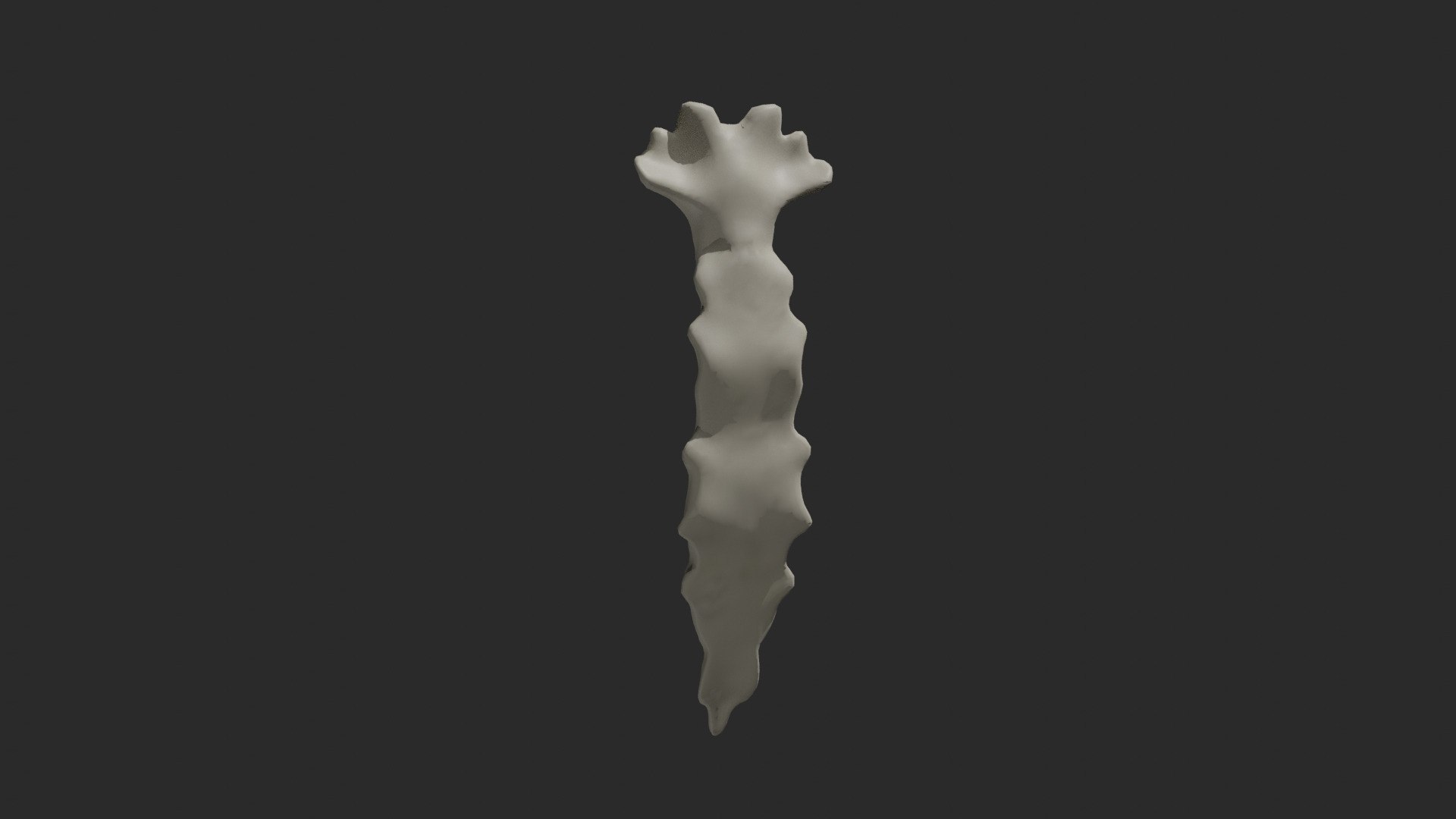 Sternum 3D Model - TurboSquid 1882131