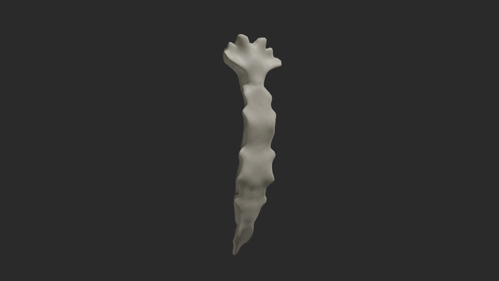 Sternum 3D Model - TurboSquid 1882131