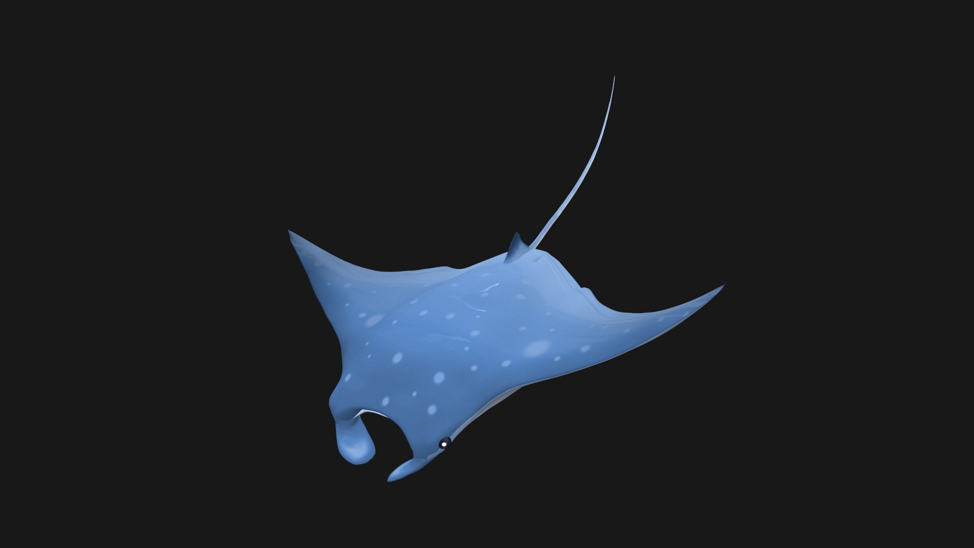 Animated Manta Ray 3D Model - TurboSquid 2285824