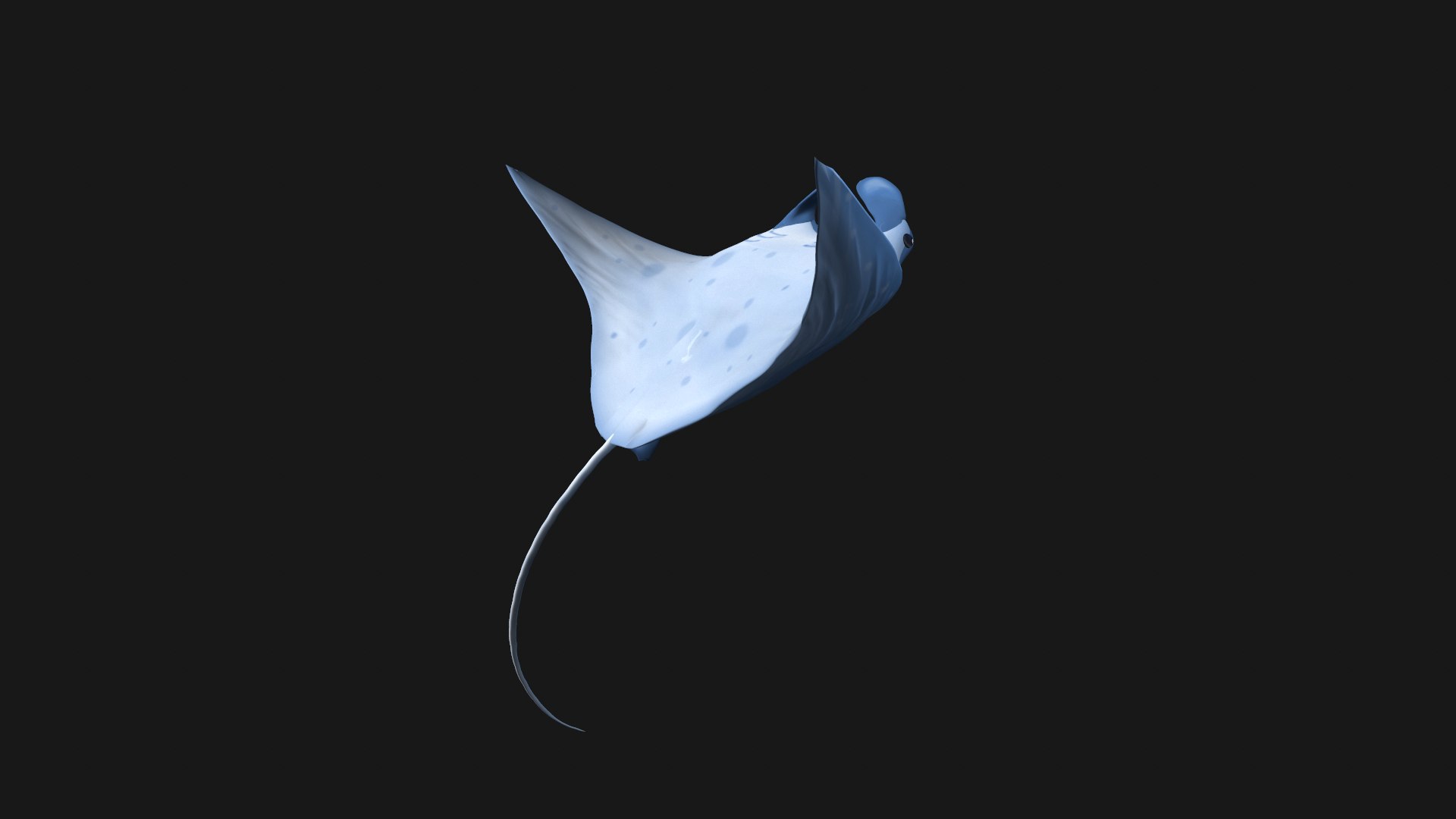 Animated Manta Ray 3D Model - TurboSquid 2285824