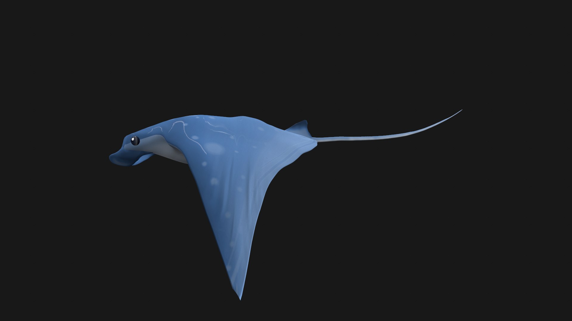 Animated Manta Ray 3D Model - TurboSquid 2285824