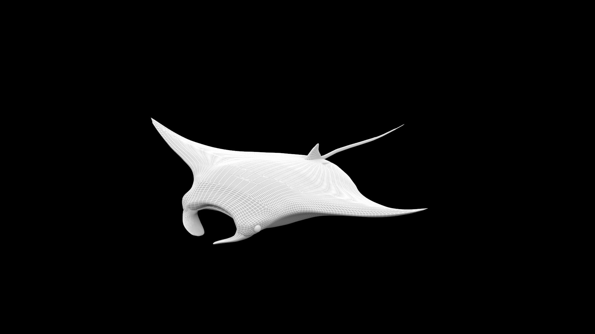 Animated Manta Ray 3D Model - TurboSquid 2285824