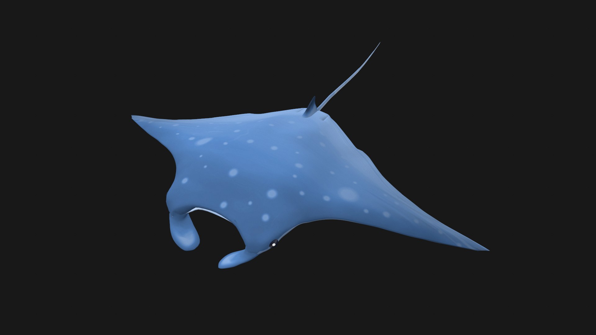 Animated Manta Ray 3D Model - TurboSquid 2285824