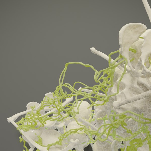 3D letter j bones skeleton - TurboSquid 1546141