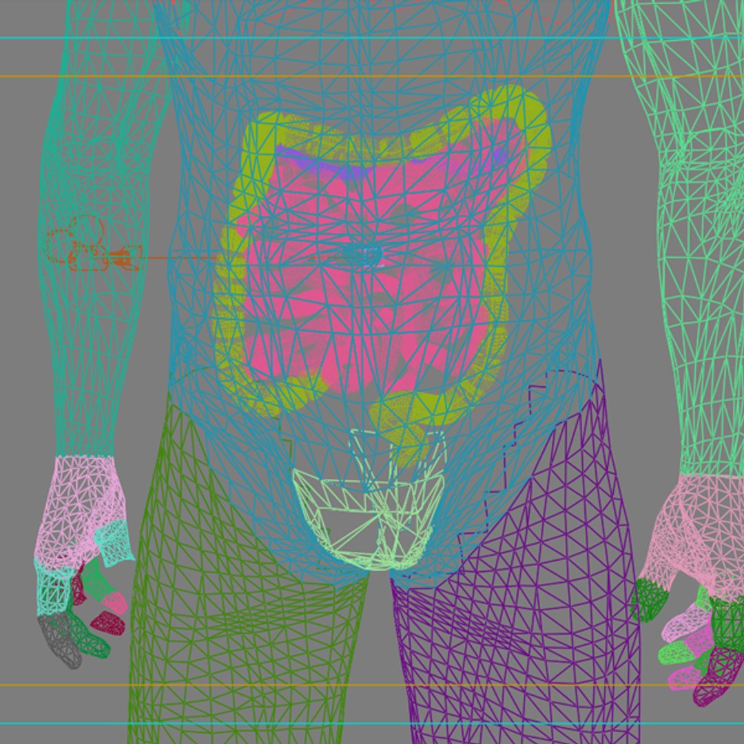 3d Human Large Small