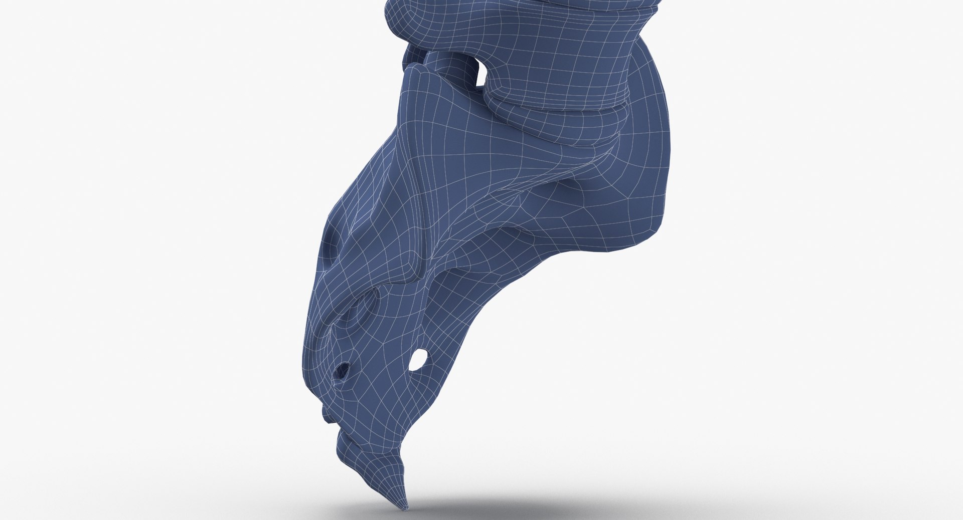 Real human lumbar sacrum model - TurboSquid 1639928