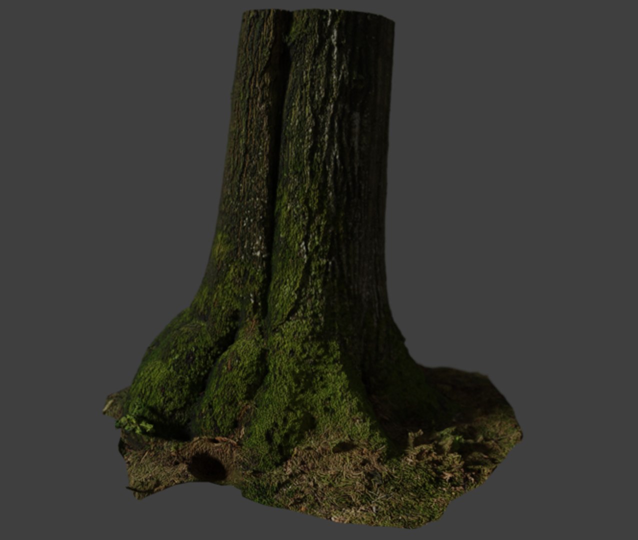 3D tree stam - TurboSquid 1321555