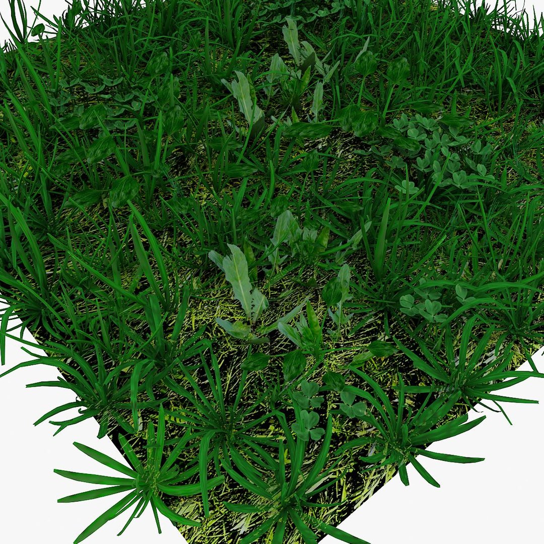 Grass 04 C4d