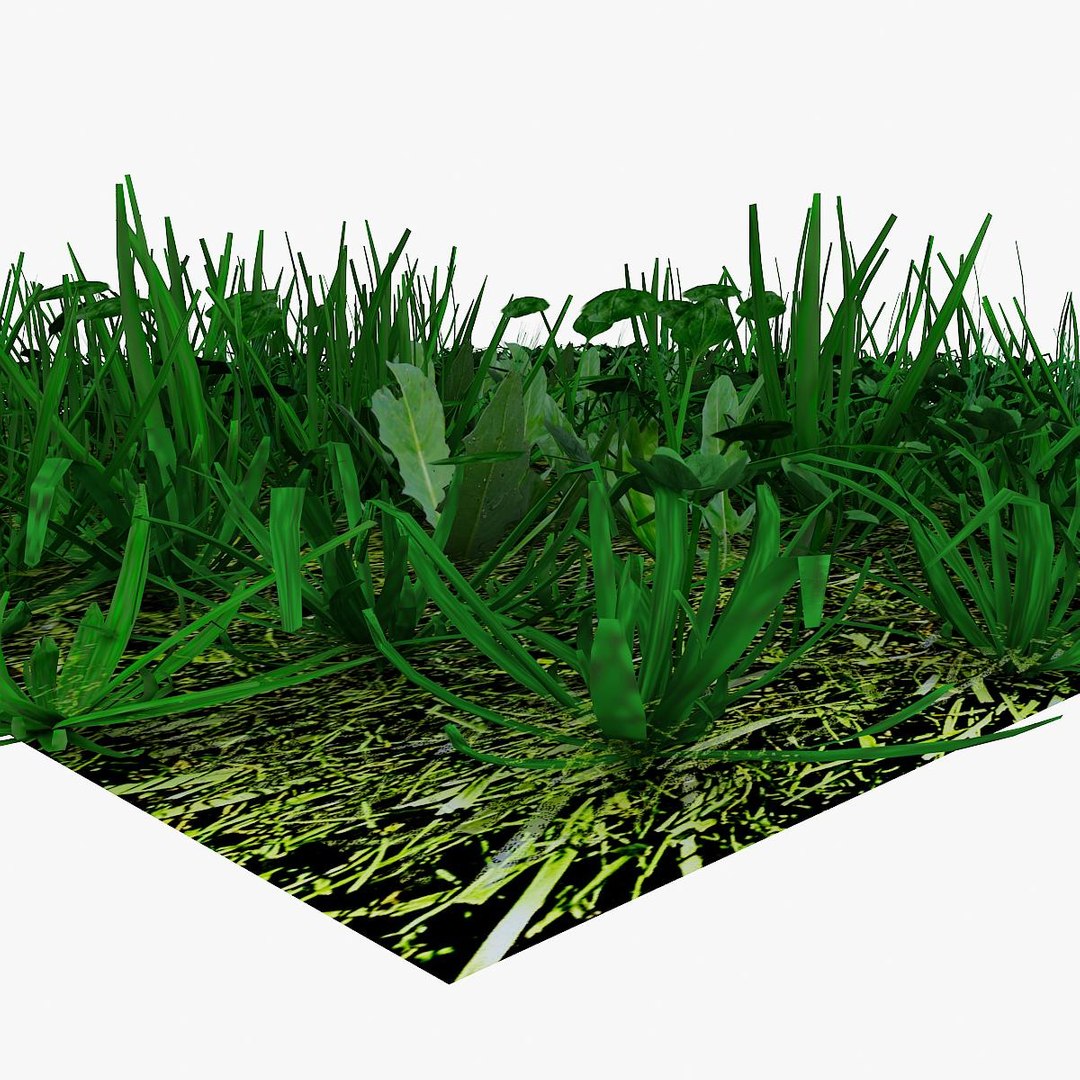 Grass 04 C4d