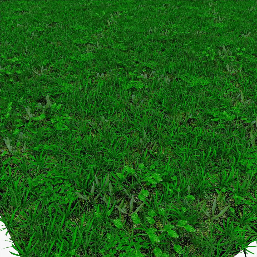 Grass 04 C4d