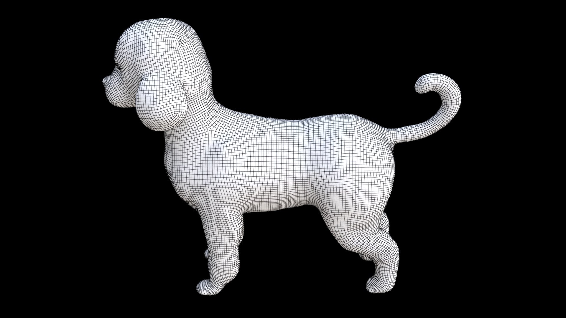 Poodle 3D Model - TurboSquid 2333763