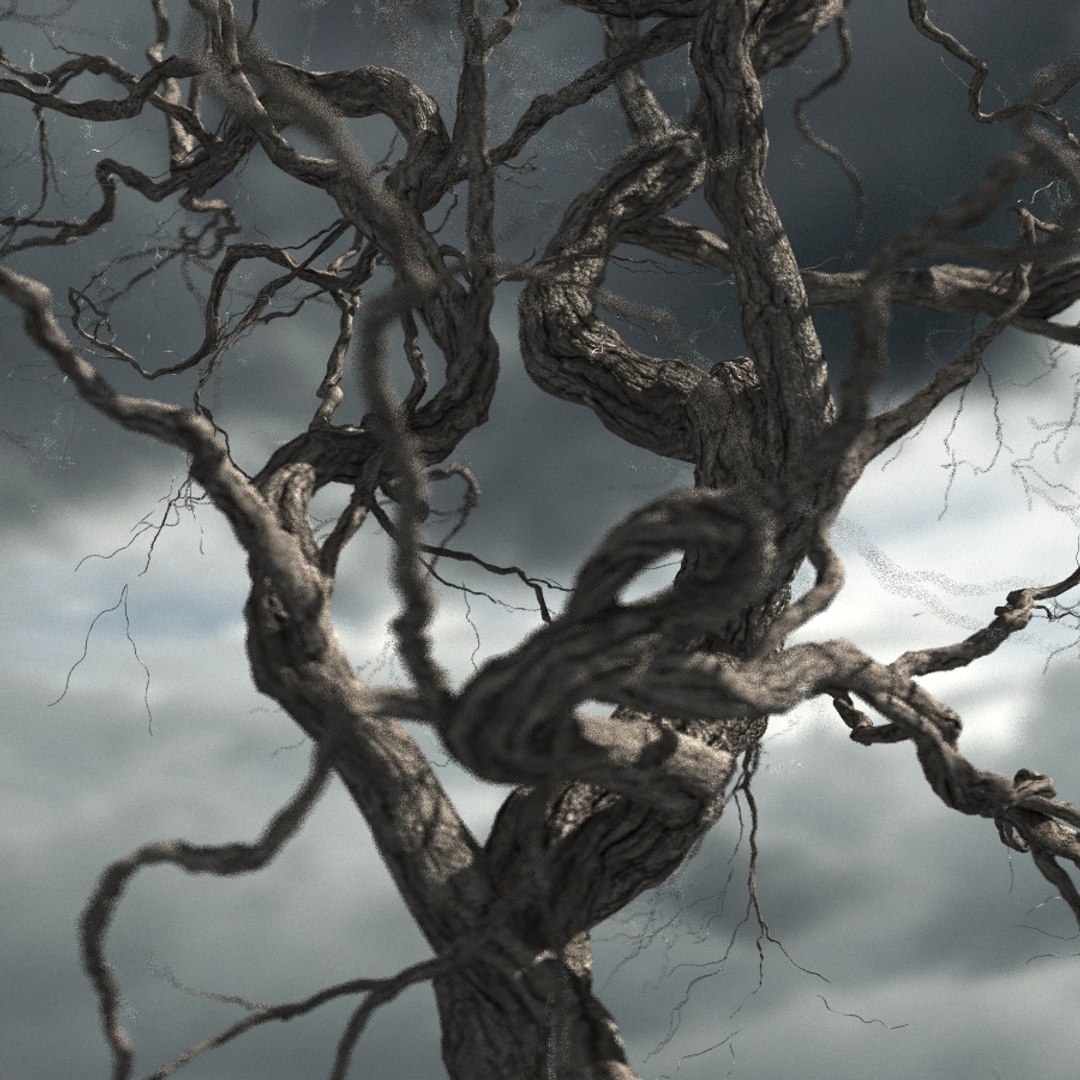 Broadleaf Leaf Tree Max