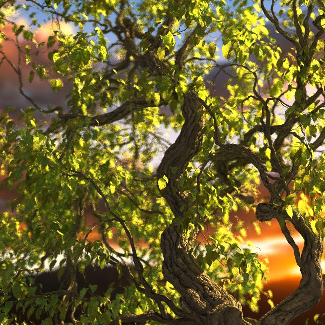 Broadleaf Leaf Tree Max