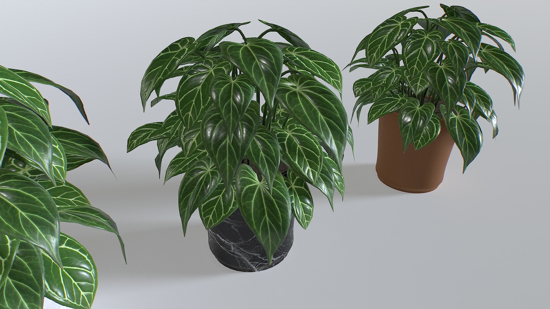 Pot Tropical Plant 3 Model - TurboSquid 2258432