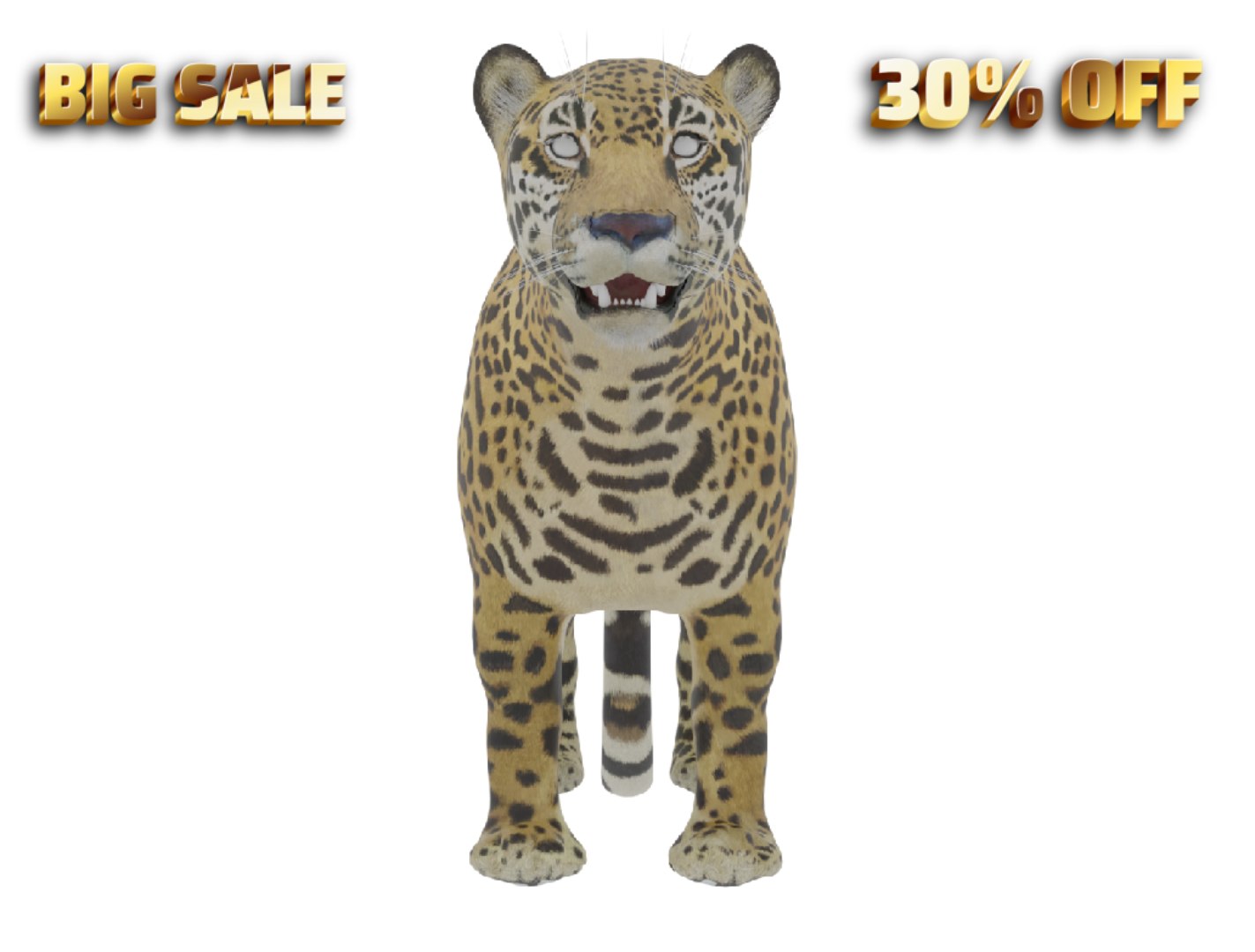 Leopard 3D Model - TurboSquid 2279191