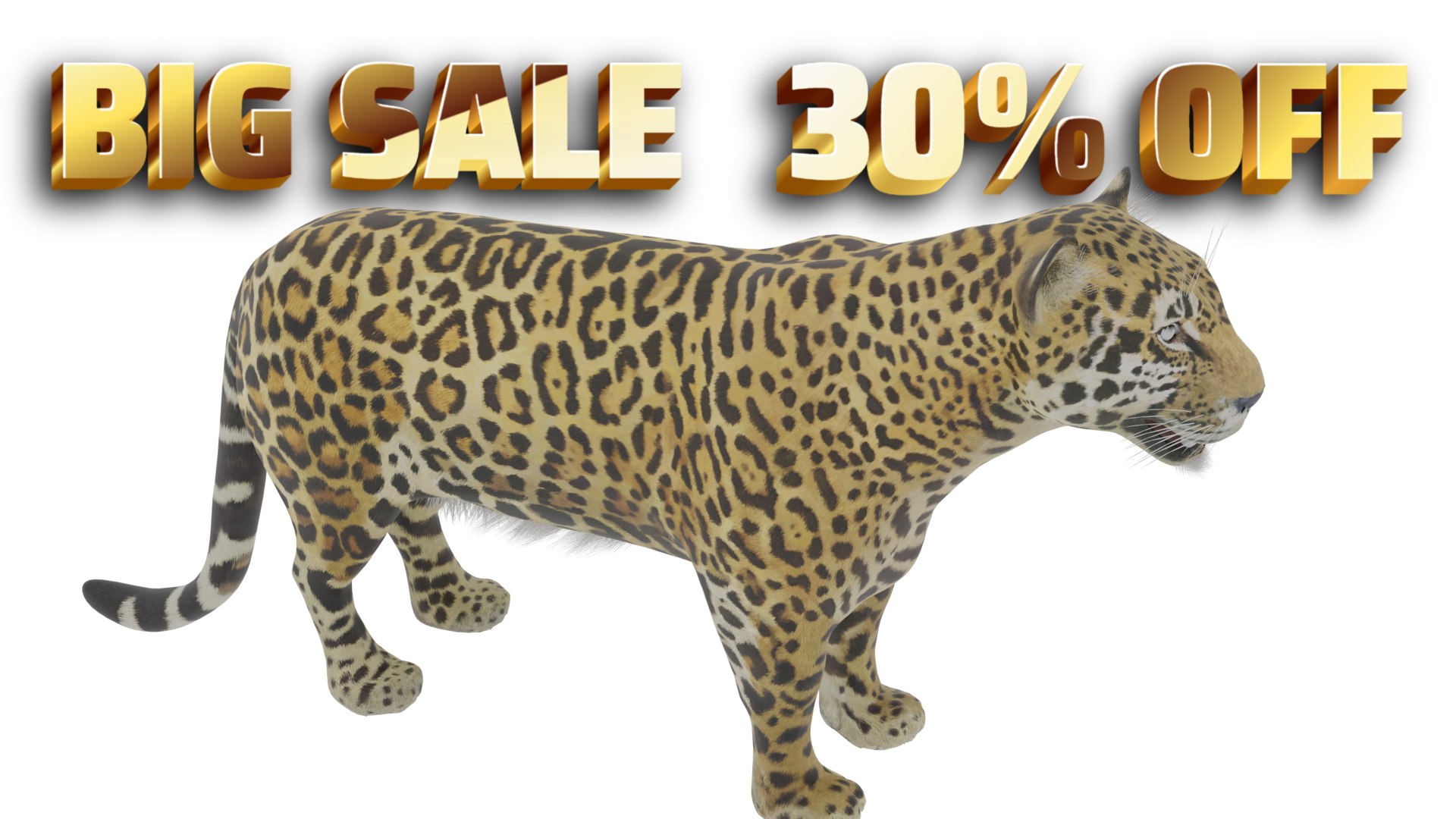 Leopard 3D Model - TurboSquid 2279191