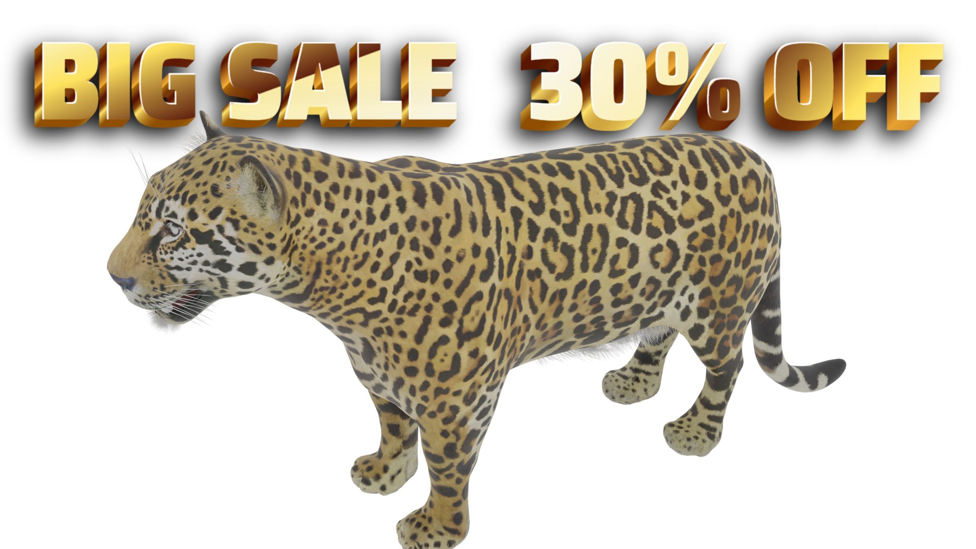 Leopard 3D Model - TurboSquid 2279191