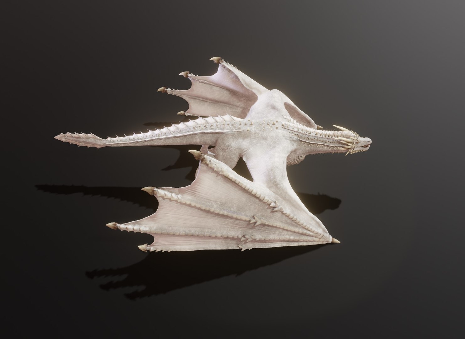 3D Realistic White Wyvern Animated Game-ready Low-poly 3D Model ...