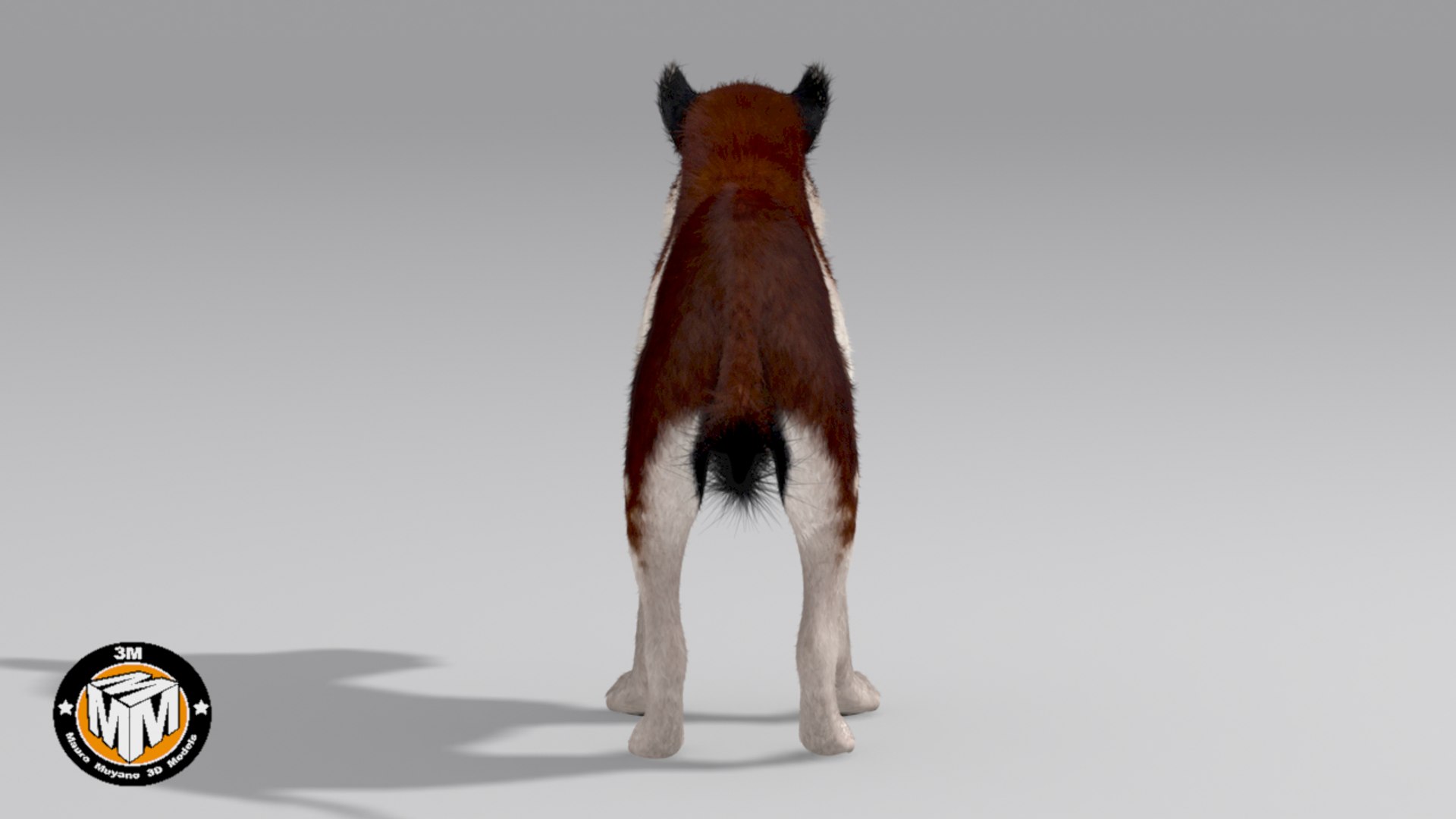 3D Protocyon Extinct Canid - TurboSquid 1277365