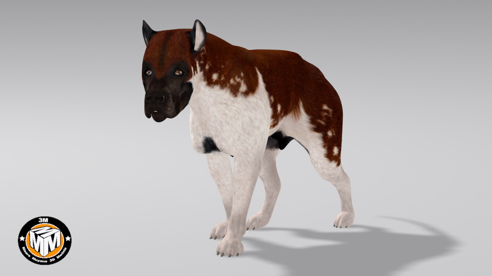 3D Protocyon Extinct Canid - TurboSquid 1277365