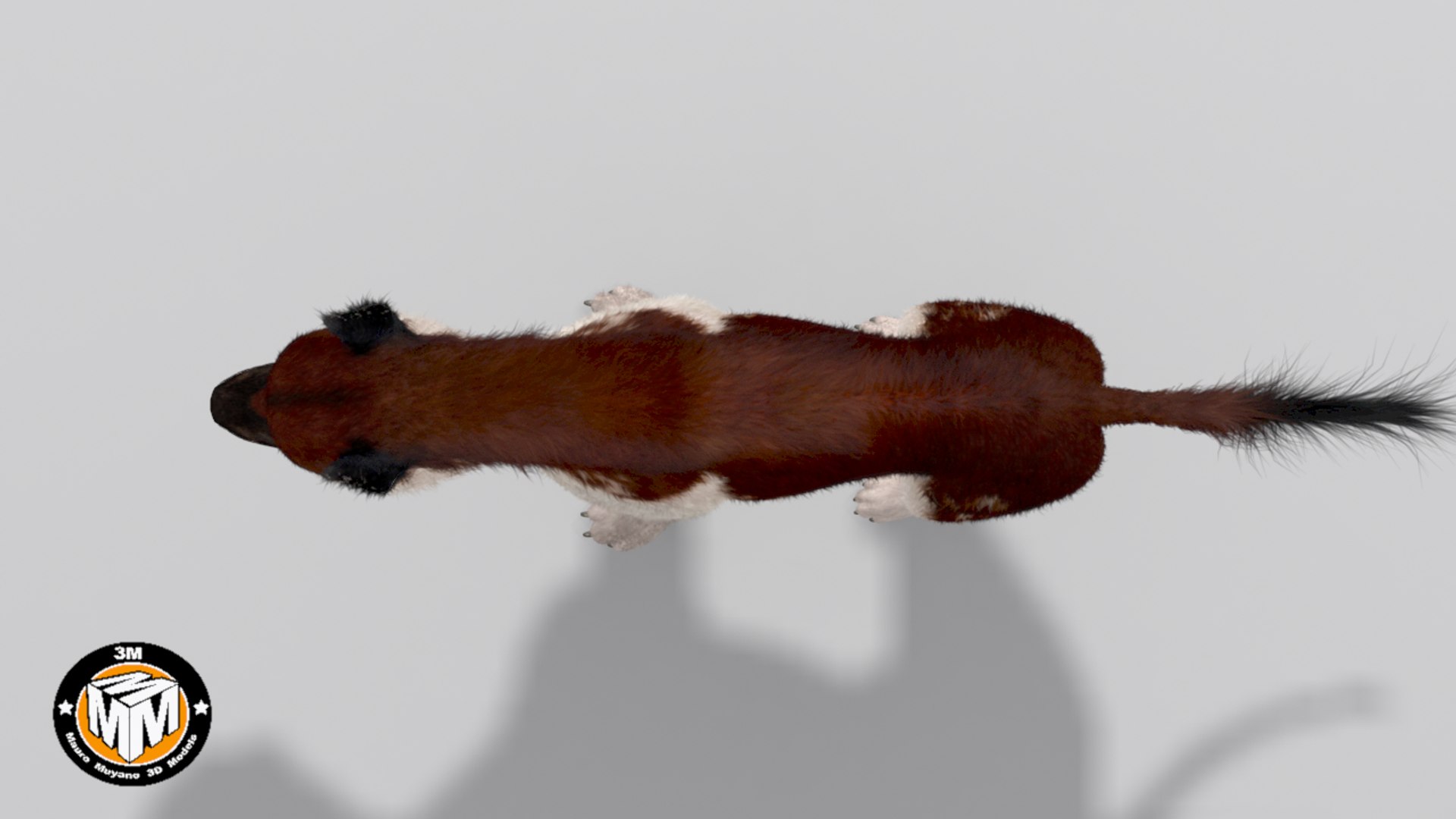 3D Protocyon Extinct Canid - TurboSquid 1277365