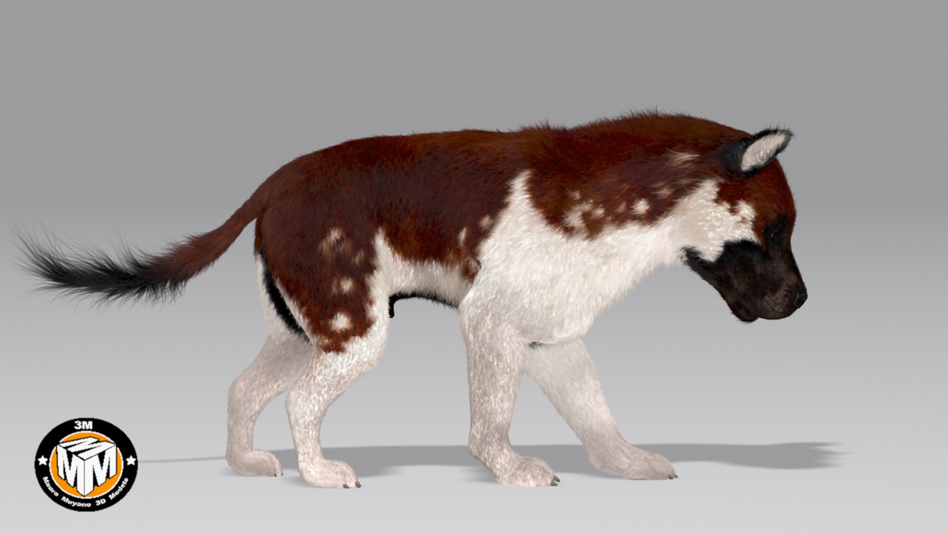 3D Protocyon Extinct Canid - TurboSquid 1277365