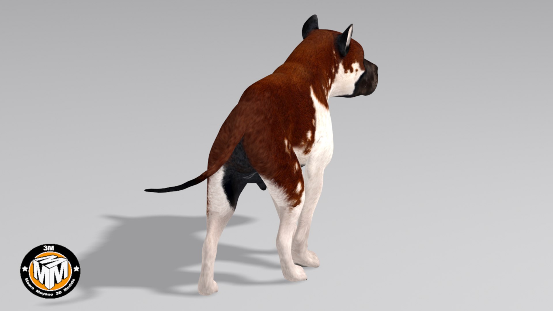 3D Protocyon Extinct Canid - TurboSquid 1277365