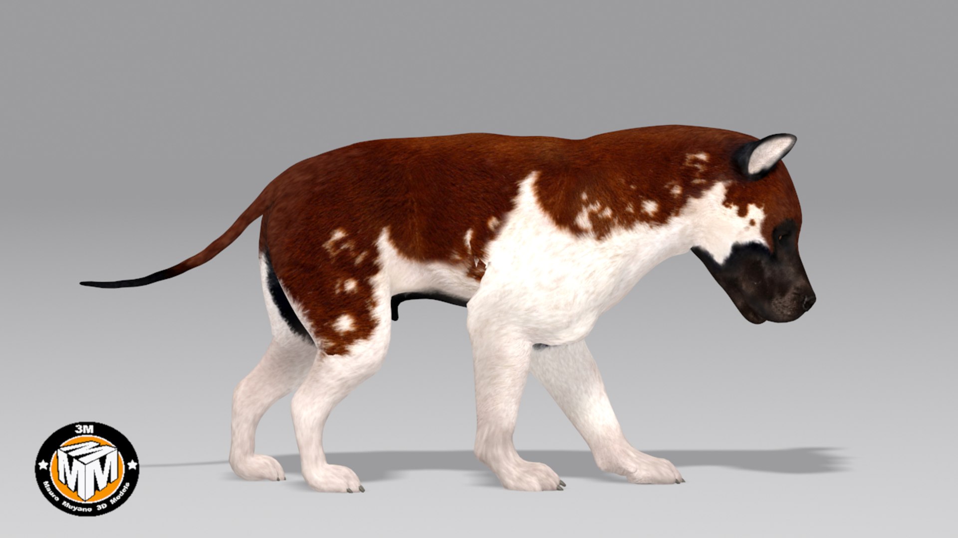 3D Protocyon Extinct Canid - TurboSquid 1277365