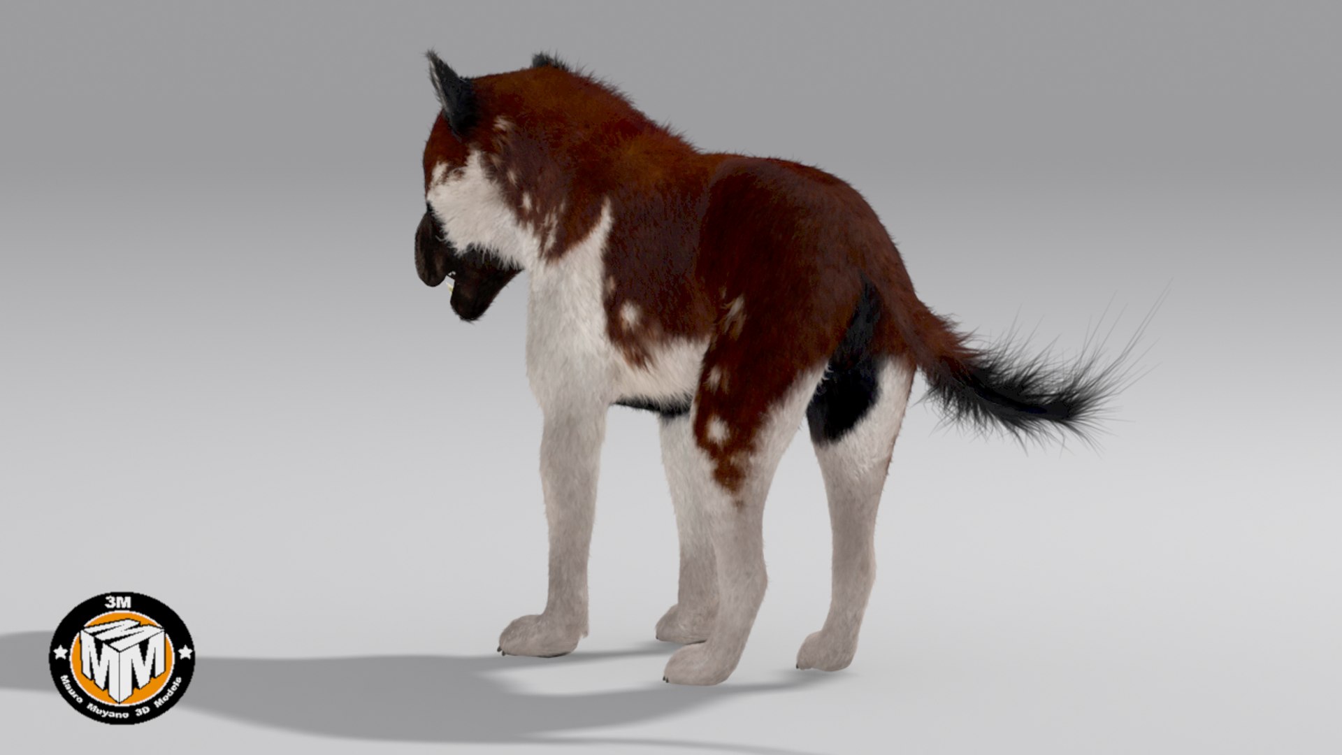 3D Protocyon Extinct Canid - TurboSquid 1277365