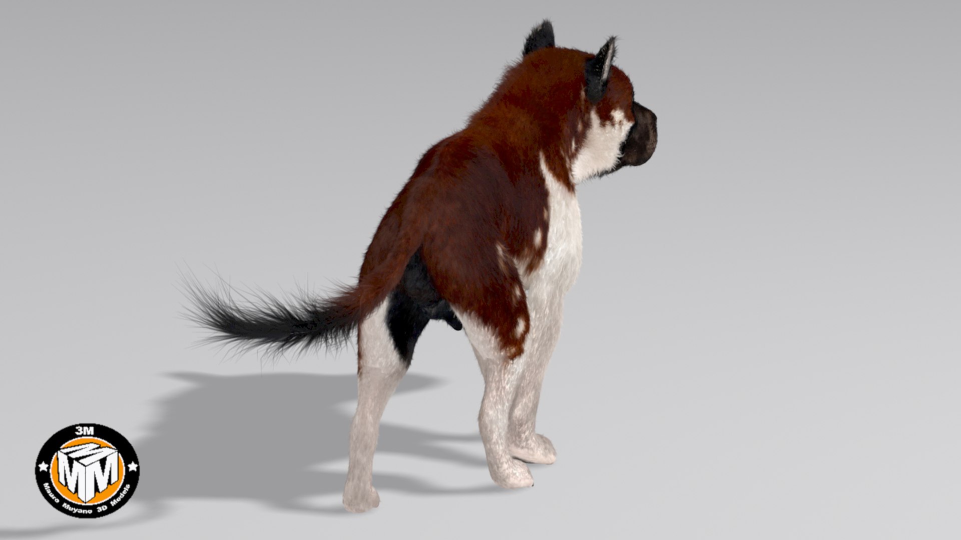 3D Protocyon Extinct Canid - TurboSquid 1277365