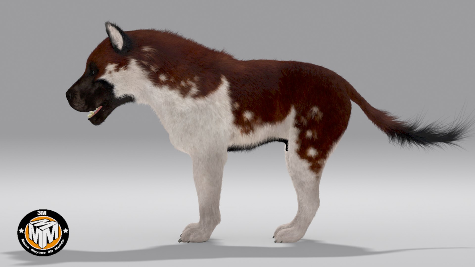 3D Protocyon Extinct Canid - TurboSquid 1277365